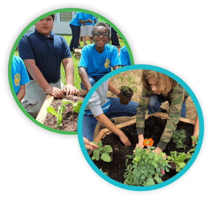 Project Learning Garden — Captain Planet Foundation