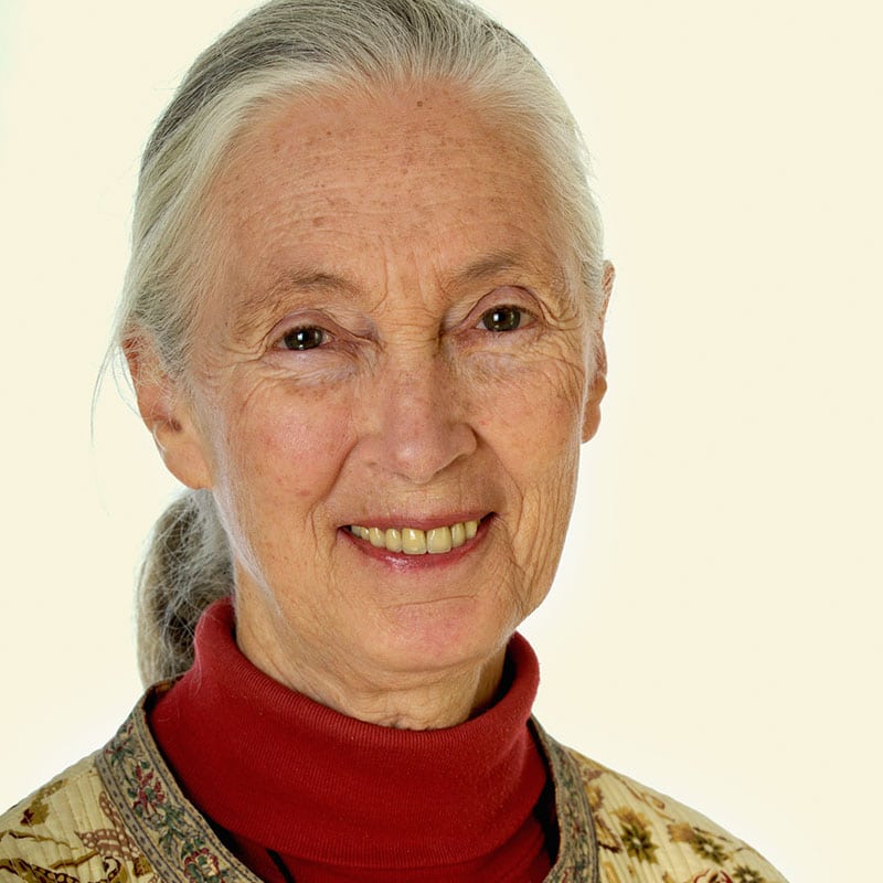 Past Honorees – Captain Planet Foundation