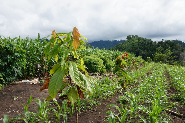 Educator Resources – Captain Planet Foundation